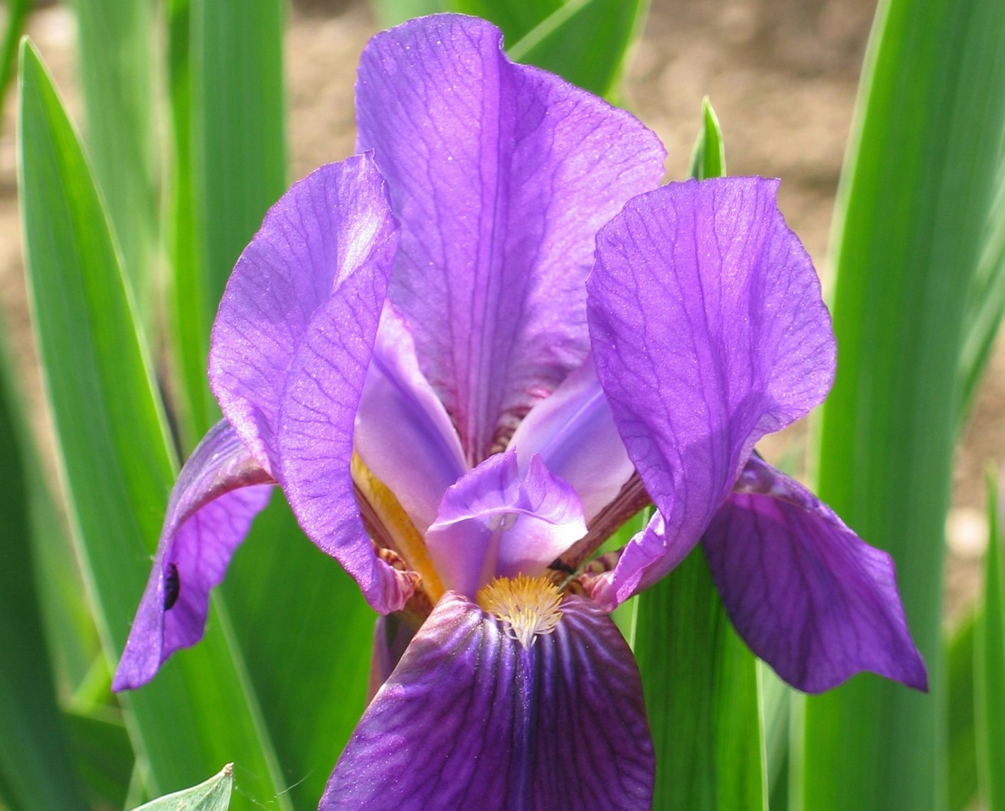 REFERENCE LIST – SRMA Consulting